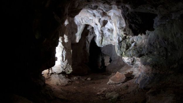 Earliest evidence of humans in Ireland – Archaeology Magazine