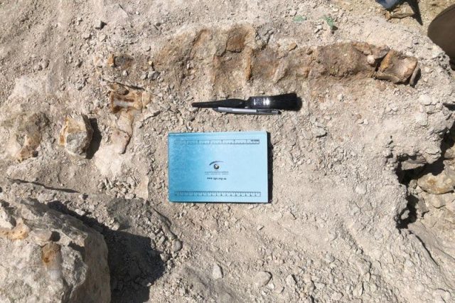 1st Saudi Archaeology Convention to open in Riyadh tomorrow ...